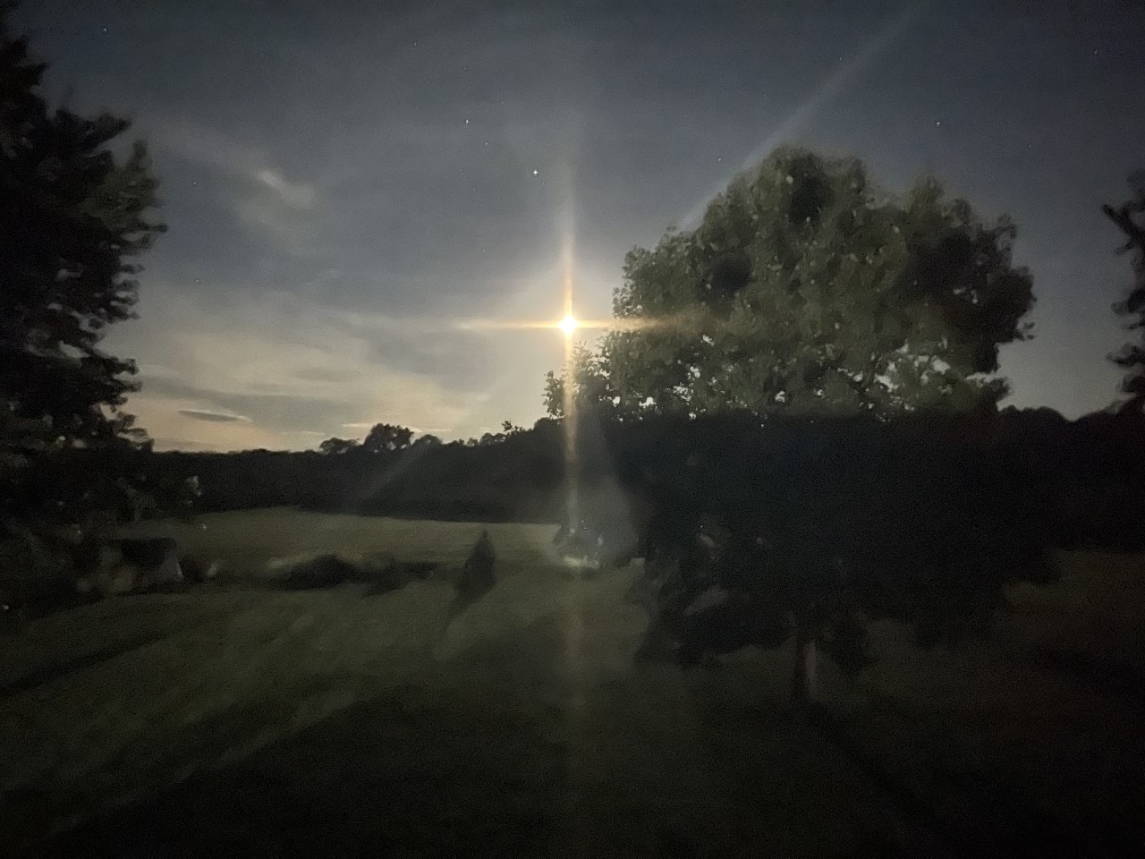 HOLY SIGHTING: Moon at the holidays | News, Sports, Jobs - Observer Today